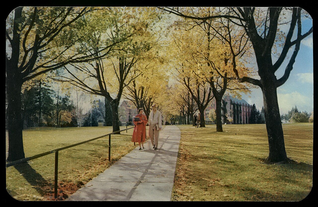 Our Gilded Bronze Age of Higher Education | Origins