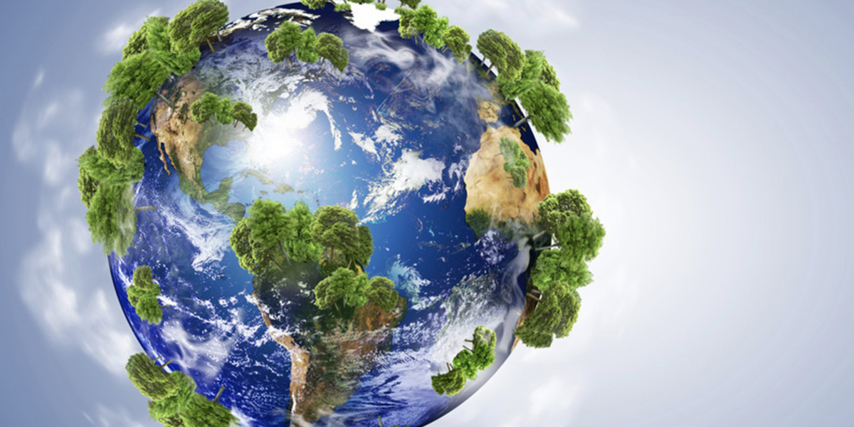 "Pale Blue Dot": History of Our Environment | Origins