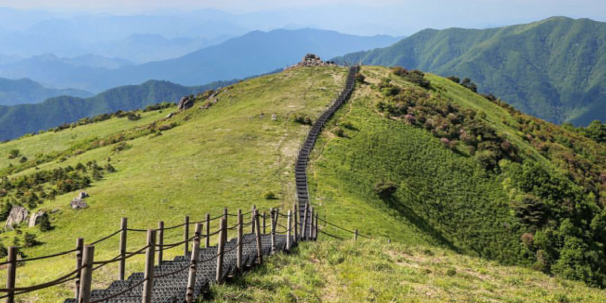 A Postcard from Yeongju, South Korea | Origins