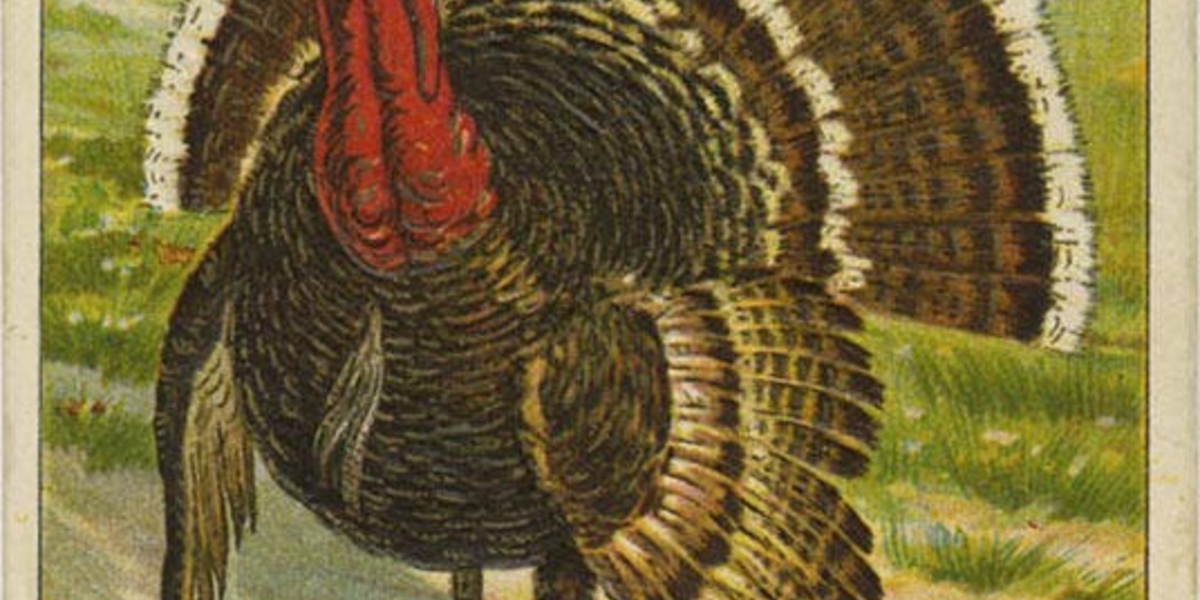 The First “First Thanksgiving” | Origins