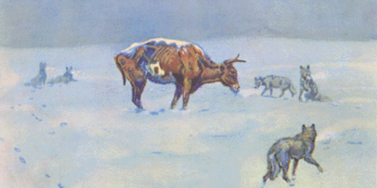 Dot-Coms and the Great Cattle Die-Off | Origins