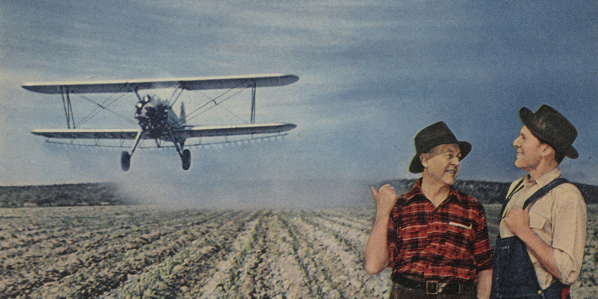 Remembering Rachel Carson’s "Silent Spring" | Origins