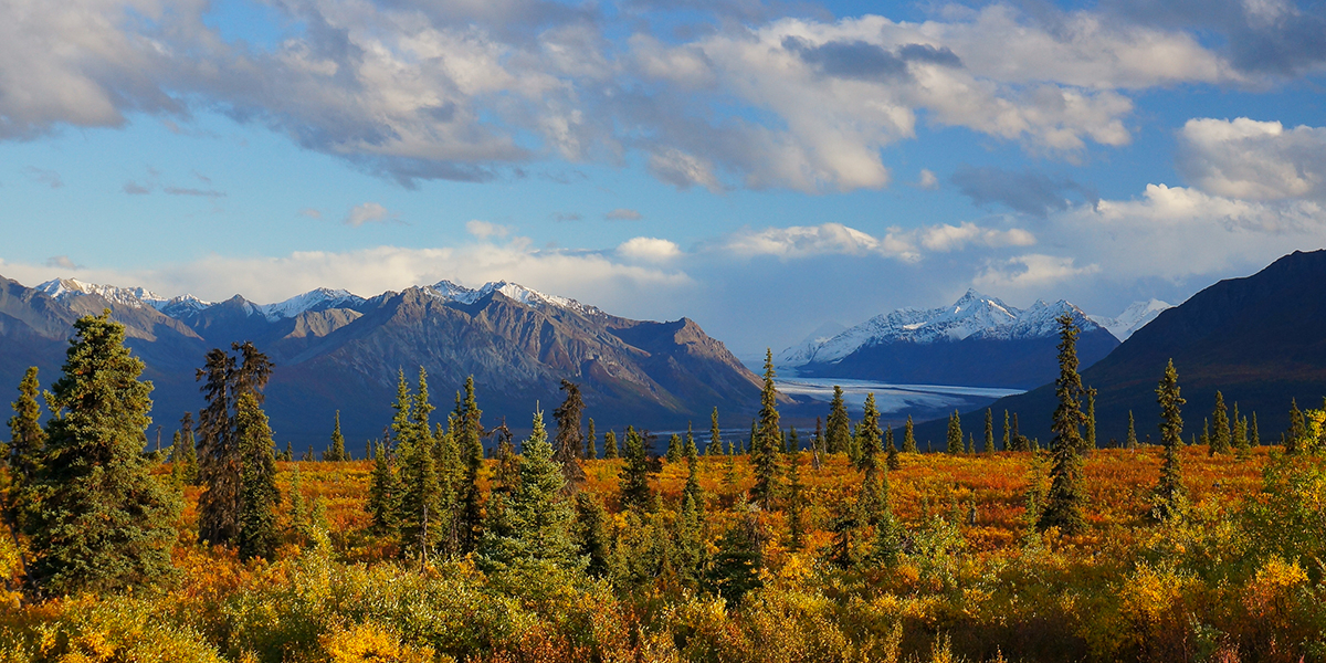 America’s National Parks: 10 Moments of Insight | Origins