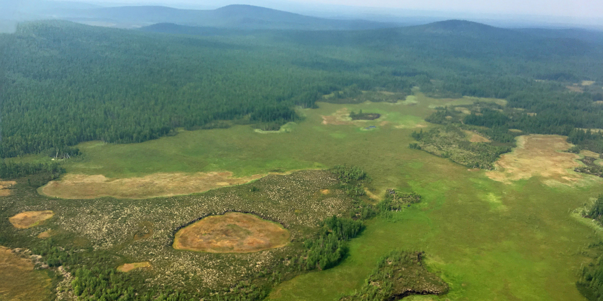 The Tunguska Mystery Explosion | Origins